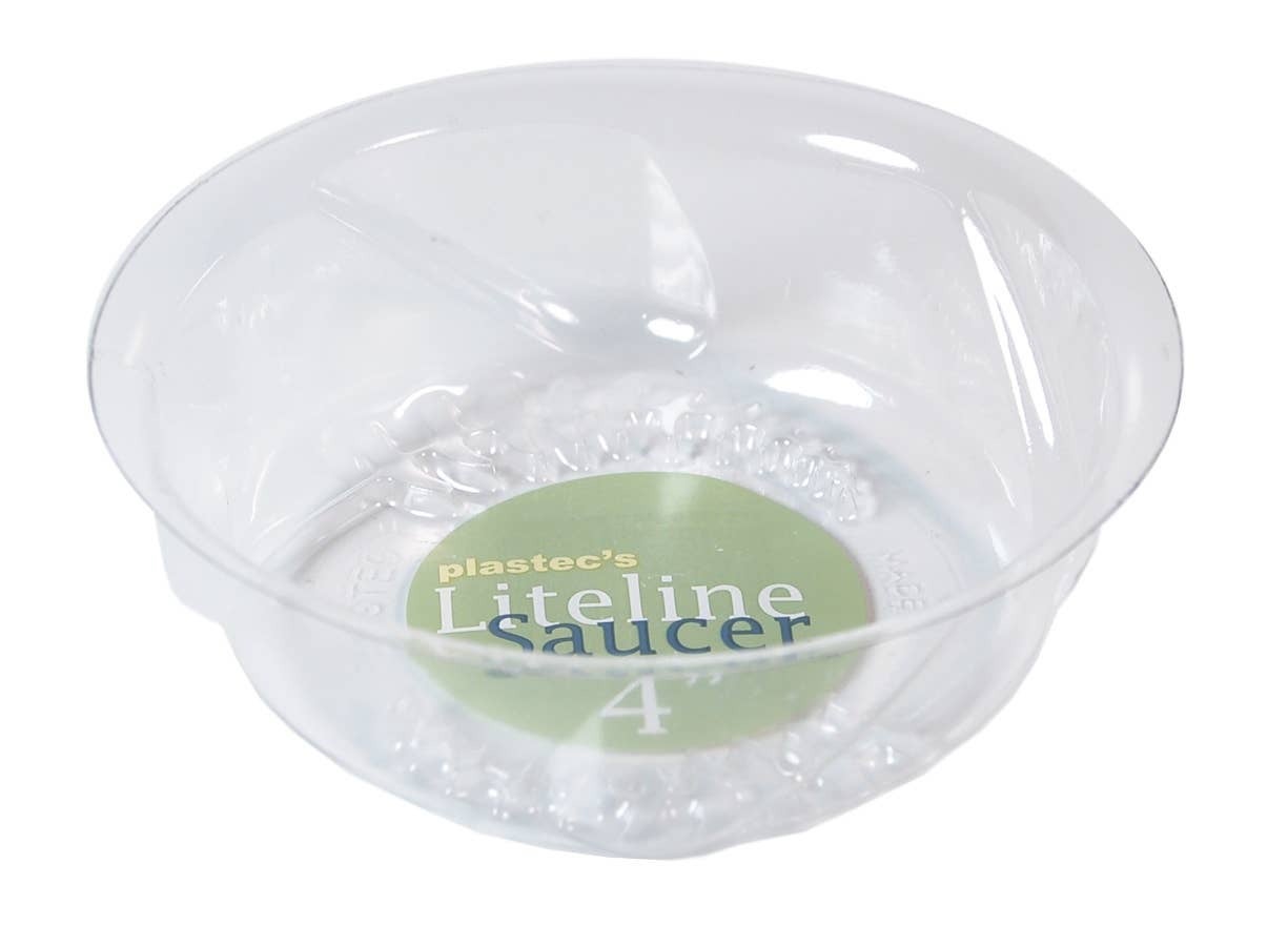 Liteline Saucer 4" | BotaniGal